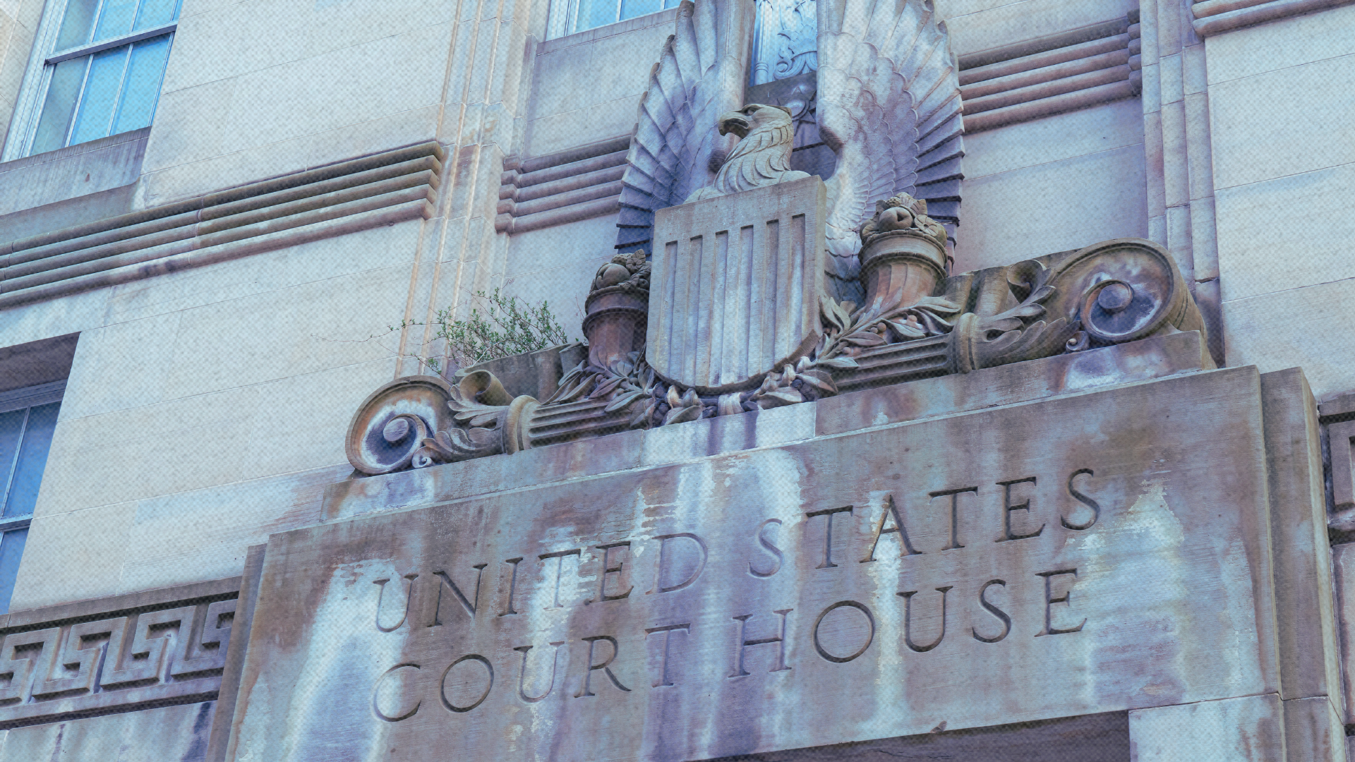Court Remedies Could Stifle Competition and Hurt Startups - The ...