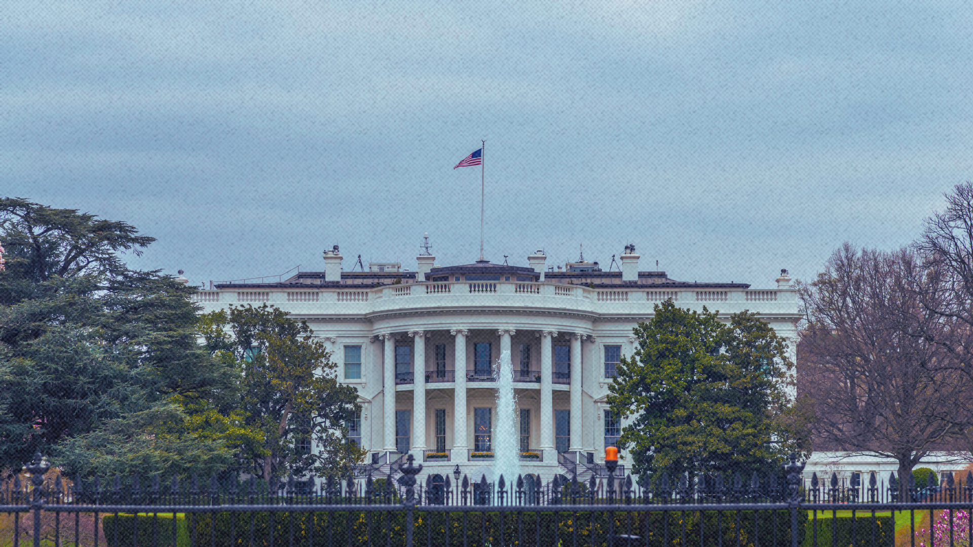 Statement: ACI Welcomes Market-Based Reforms in President Trump’s ...